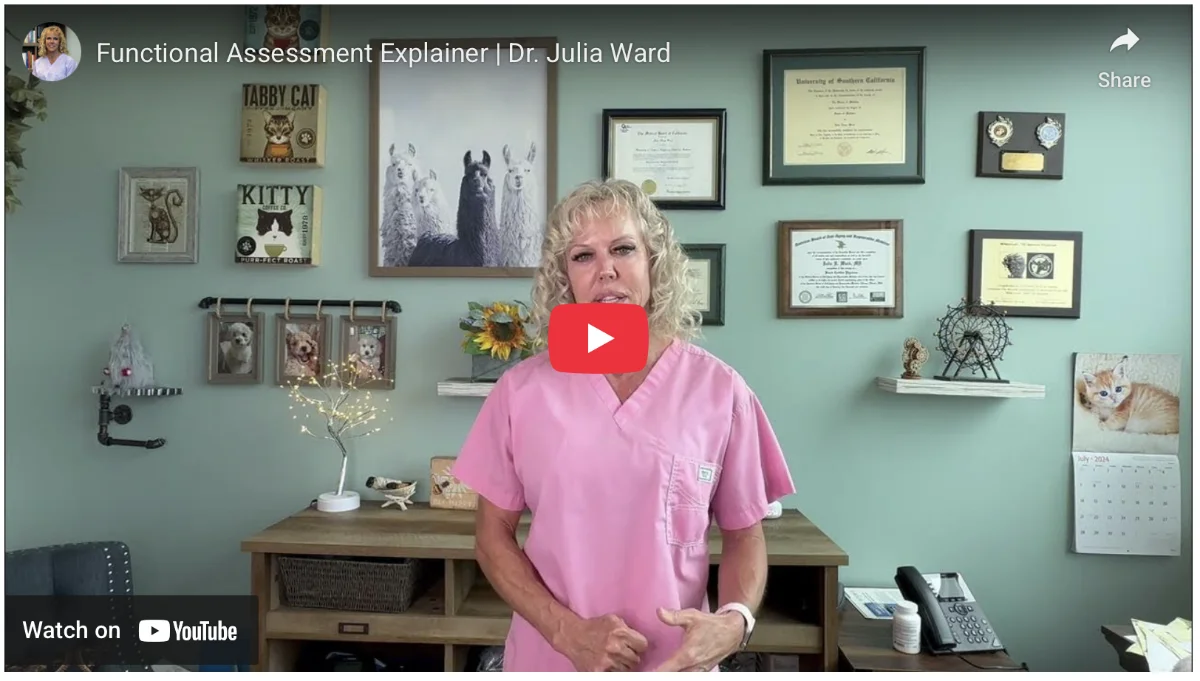 Functional Medicine Assessment in Sugar Land, TX | Dr. Julia Ward